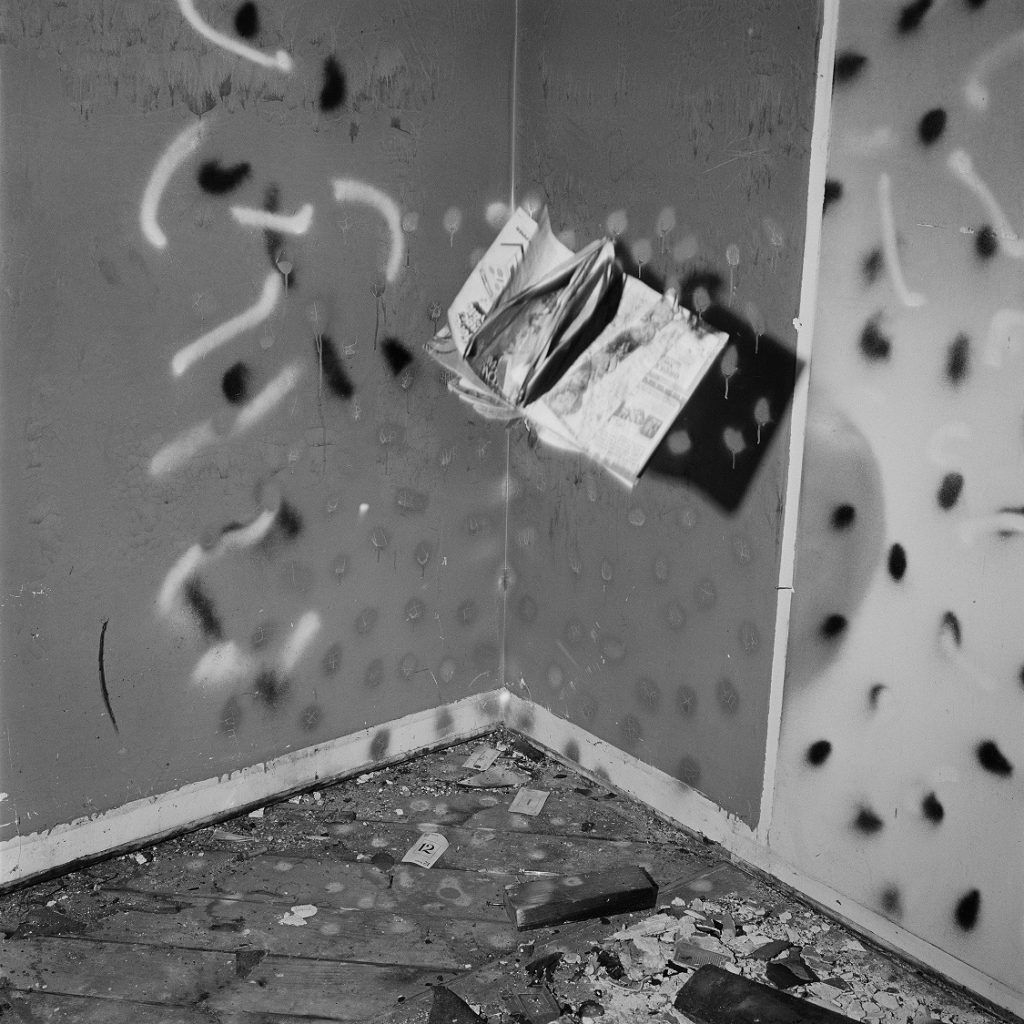 A Handful of Dust, John Divola, Photographs from The Vandalism ...